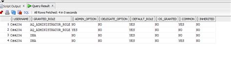 how to delete the row in table user role privs in oracle stack overflow