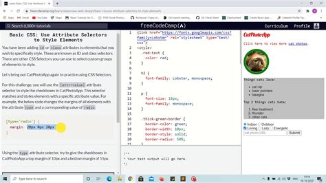 tutorial 23 using attribute selector to style elements free code