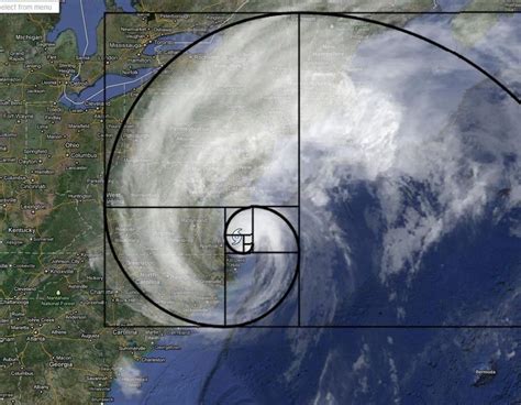 fibonacci sequence on emaze