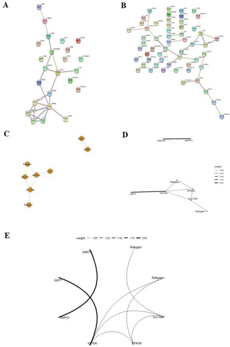 Protein Protein Interaction Ppi Network Of Differentialy Expressed
