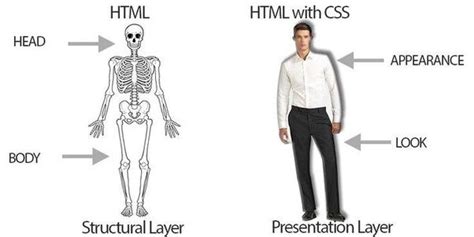 what is the difference between html and css tcdc