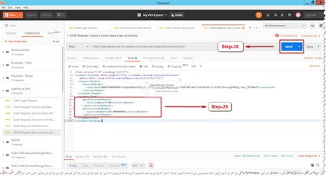 how to develop custom salesforce soap api endpoint ii