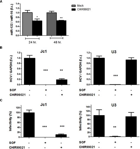 Frontiers Glycogen Synthase Kinase 3β Enhances Hepatitis C Virus