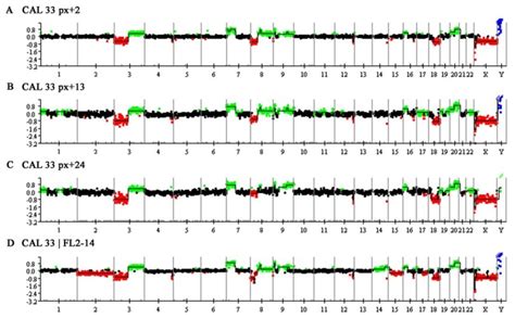 whole genomic array cgh profile of the hnscc cell line cal