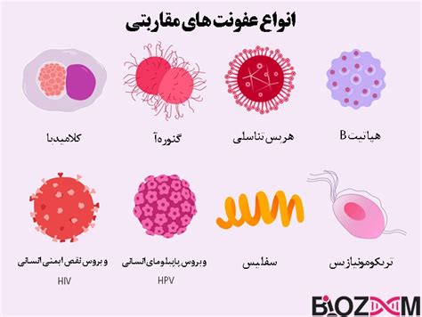 بیماری مقاربتی چیستی، انواع، علل، علائم، پیشگیری، تشخیص و درمان