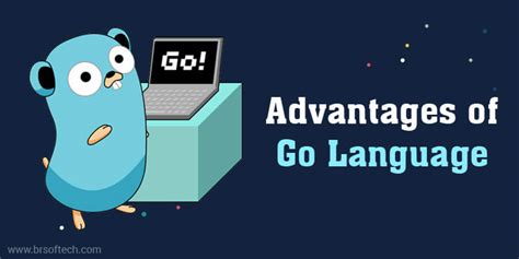 golang advantages limitations and use cases br softech