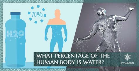 50 Shocking Facts Unveiling Human Bodys Water Ratio 2024
