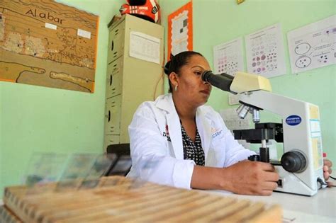 Día Mundial Del Paludismo Los Países Deben Redoblar Esfuerzos Para