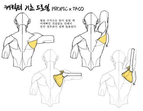 타코작가 On Twitter 드로잉 강좌 바디 드로잉 그리기 튜토리얼