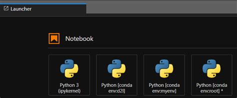how to make created custom conda environments persist across user