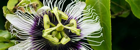 Our Approach Sustainable And Circular Bioeconomy For Food Systems