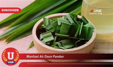 Intip 6 Manfaat Air Daun Pandan Yang Bikin Kamu Penasaran