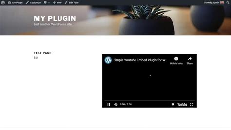 simple youtube embed plugin setup youtube video embed in wordpress