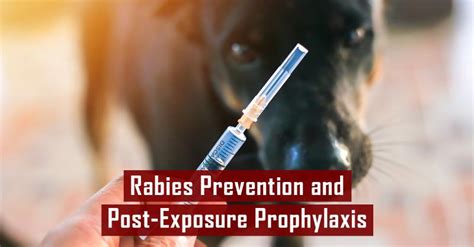 Recommended Guidelines For The Management Of Rabies In Humans Medsynapse