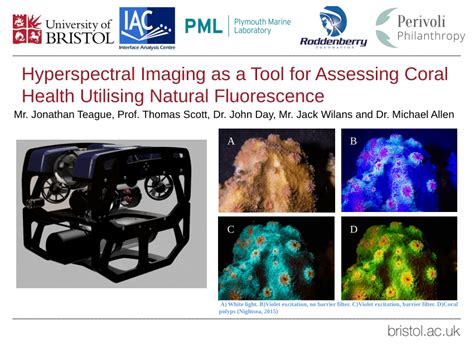 Pdf Hyperspectral Imaging As A Tool For Assessing Coral Health