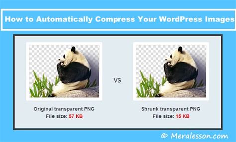 how to automatically optimize all your wordpress images meralesson