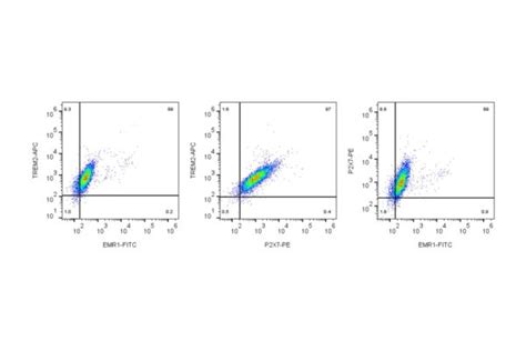 Flow Cytometry Frontiers Alomone Labs Antibodies In Action Alomone Labs