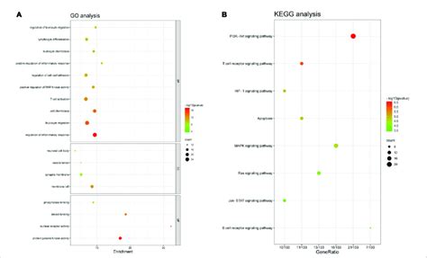 Enrichment Analysis A Gene Ontology Go Functional Enrichment