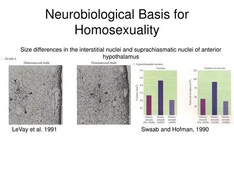 Ppt Sex Differentiation And Dimorphism Powerpoint Presentation Free