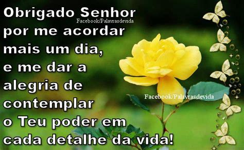 Trindade Santa Por Mais Um Dia De Vida Eu Te AgradeÇo Meu Deus