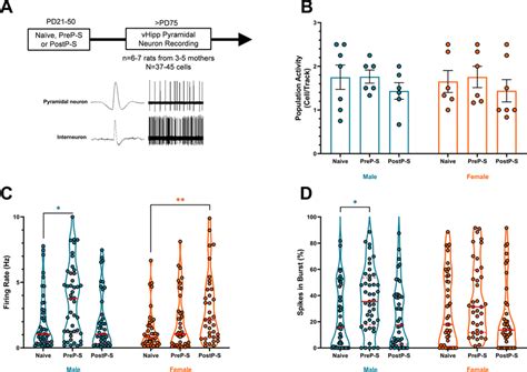 Sex Selective And Exposure Age Dependent Effects Of Prep S Vs Postp S