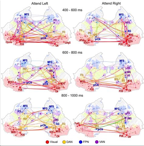 networks of high alpha band inter areal phase synchronization
