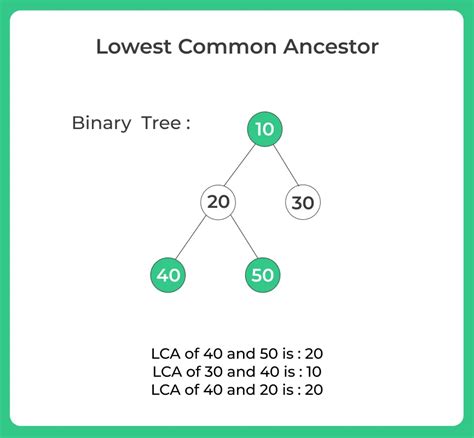 lowest common ancestor of a binary search tree prepinsta