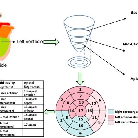 Activation Overview Tab Download Scientific Diagram