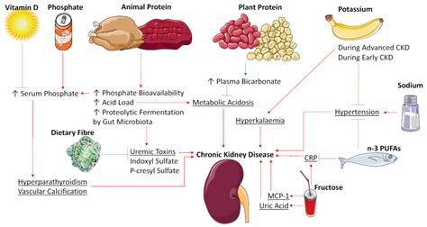 Nutrients Free Full Text Stirring The Pot Can Dietary Modification