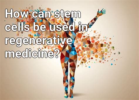 How Can Stem Cells Be Used In Regenerative Medicine – Lifeextension