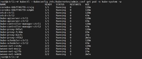 deploying kubernetes on bare metal inap