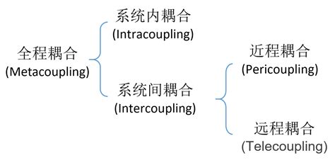 全程耦合系统 telecoupling