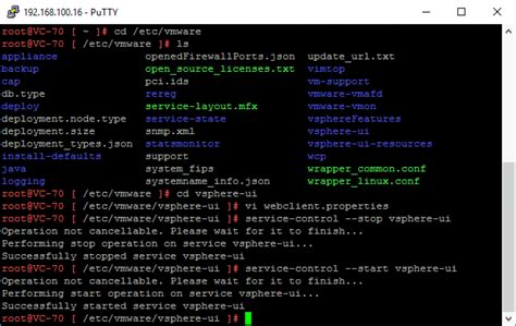 vsphere disable timeout