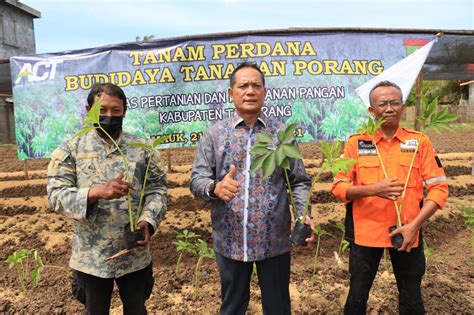 Dinas Pertanian Dan Ketahanan Pangan Luncurkan Penanaman Perdana Porang