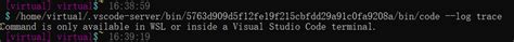 [debug create javascript debug terminal] executing the script does not