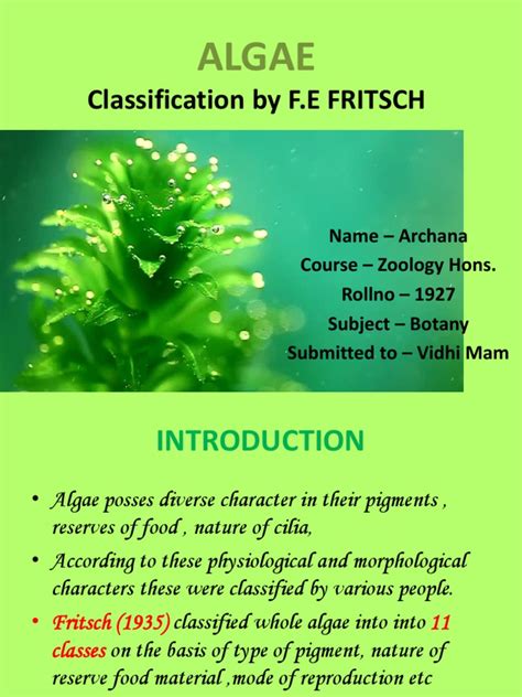 Classification By F E Fritsch Algae Pdf Algae Chloroplast