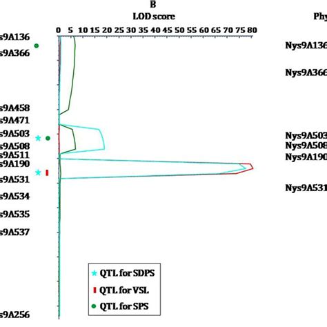 Qtl Fine Mapping Of Sdps And Its Related Traits In F2 3 Families From