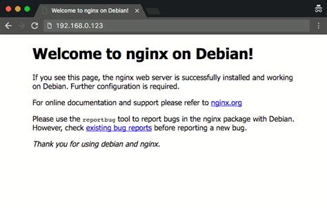 how to setup a reverse proxy server with nginx raspian