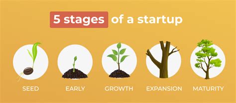 Development Stages Of Software Startup