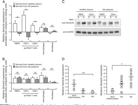 Figure 1 From The Neuroimmune Semaphorin 3a Reduces Inflammation And