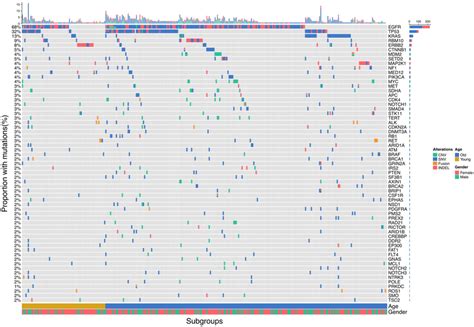 Mutation Landscape Of The Young And Old Groups The Patients Were