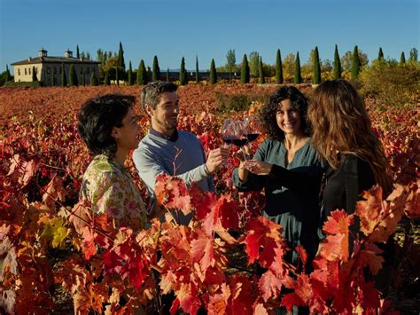 salto de bodega una perfecta introducción a los vinos de rioja