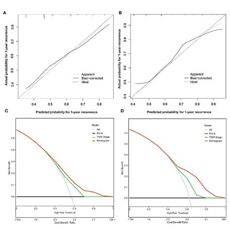 Analysis Of Calibration Plots And Decision Curves For The Nomogram