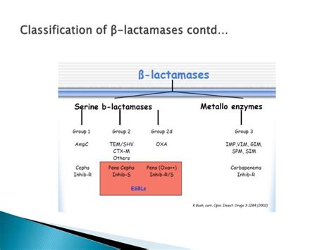 Ppt Extended Spectrum β Lactamase Esbl Production In