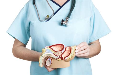 Varicoceles Treatment Surgery And Symptoms