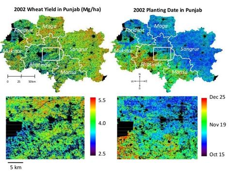 Scalable Yield Gap Analysis