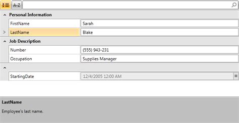 wpf propertygrid data annotations telerik ui for wpf
