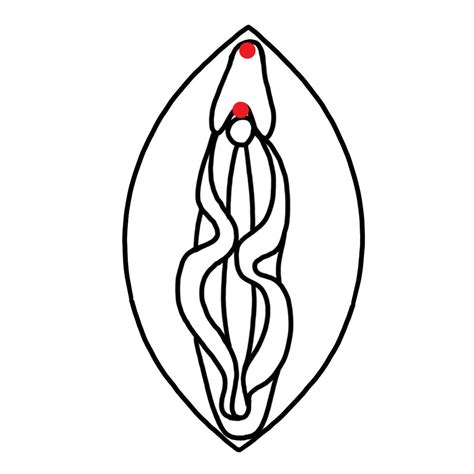 Klitorisvorhaut Piercing Bern