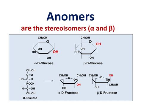 Week 2 Lectures Cyclic Structure Common Monosaccharides Ppt Download