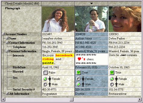 overview of infopower delphi components grid masking